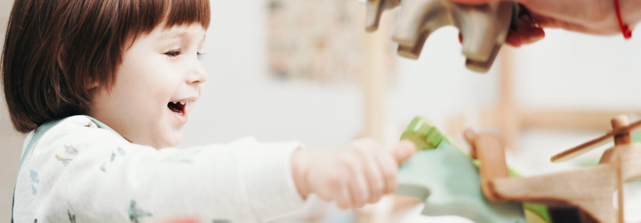 About Us – Brain Tools